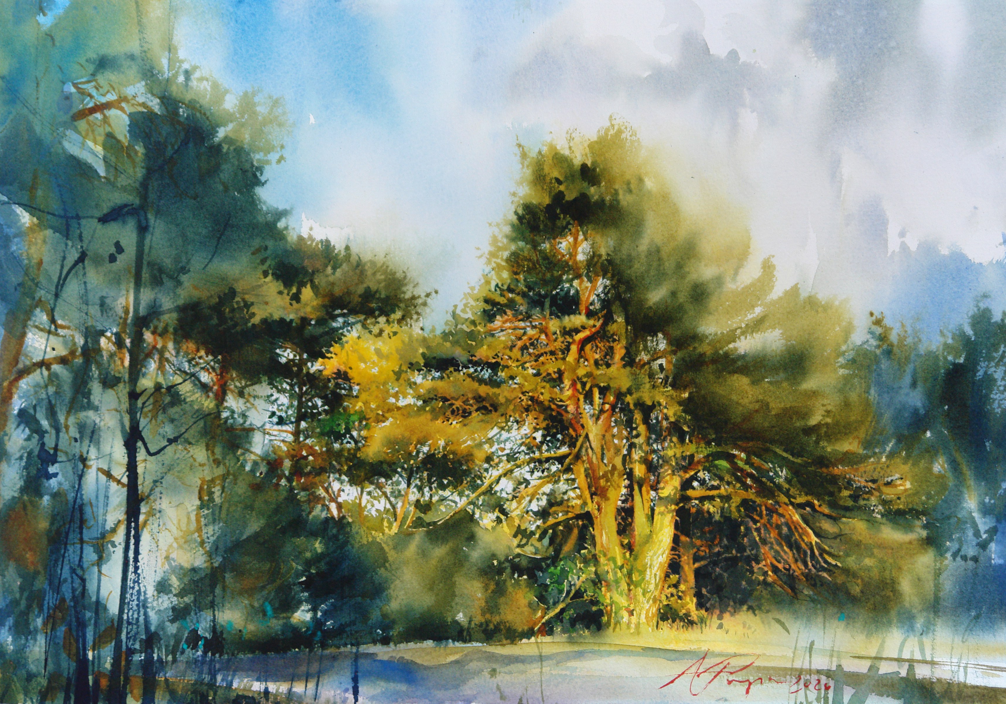 Adam Papke, Kaszubska sosna V - Aukcja internetowa / Licytacja online ...