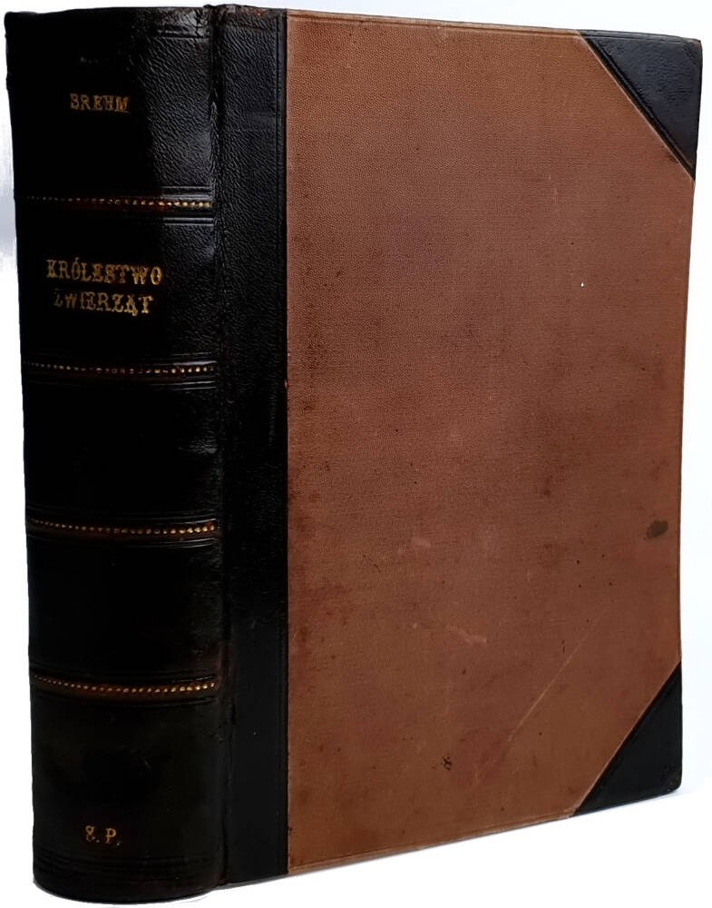 BREHM- KRÓLESTWO ZWIERZĄT. OBRAZY Z ŻYCIA I OBYCZAJÓW ŚWIATA ...