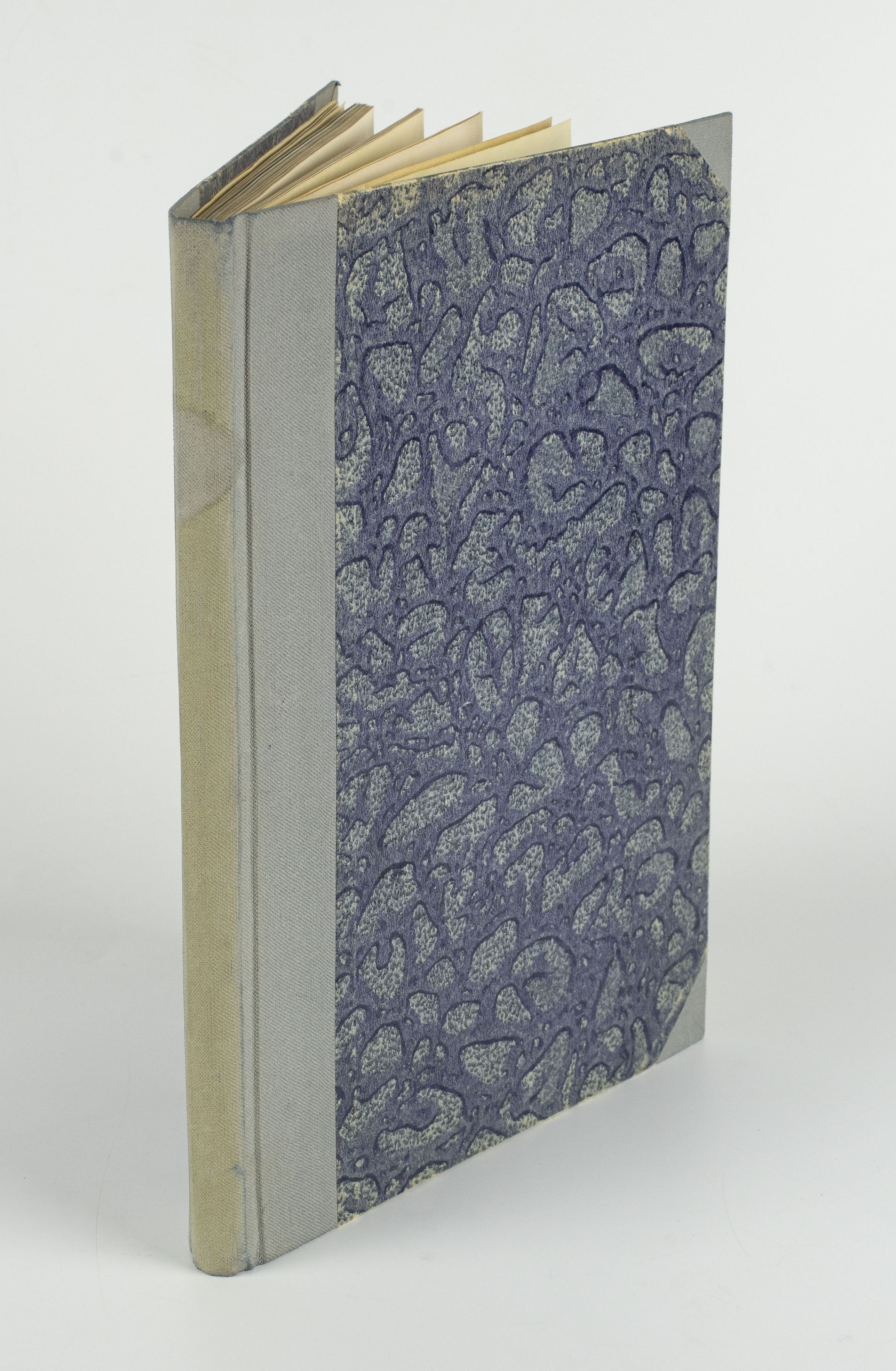 KAŹMIERCZAK Jan - Rawicz. Gród Przyjemskich. Historyczny rys powstania ...