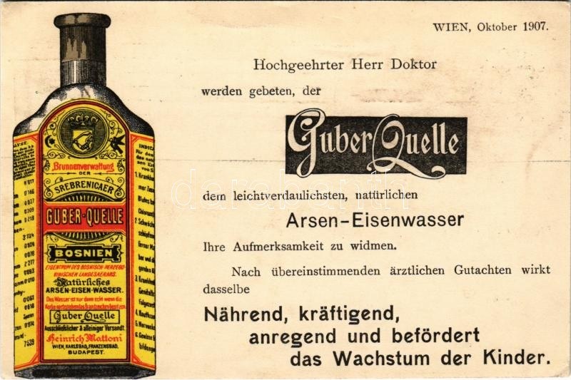 1907 Brunnenverwaltung der Srebrenicaer Guber Quelle Bosnien, Arsen ...