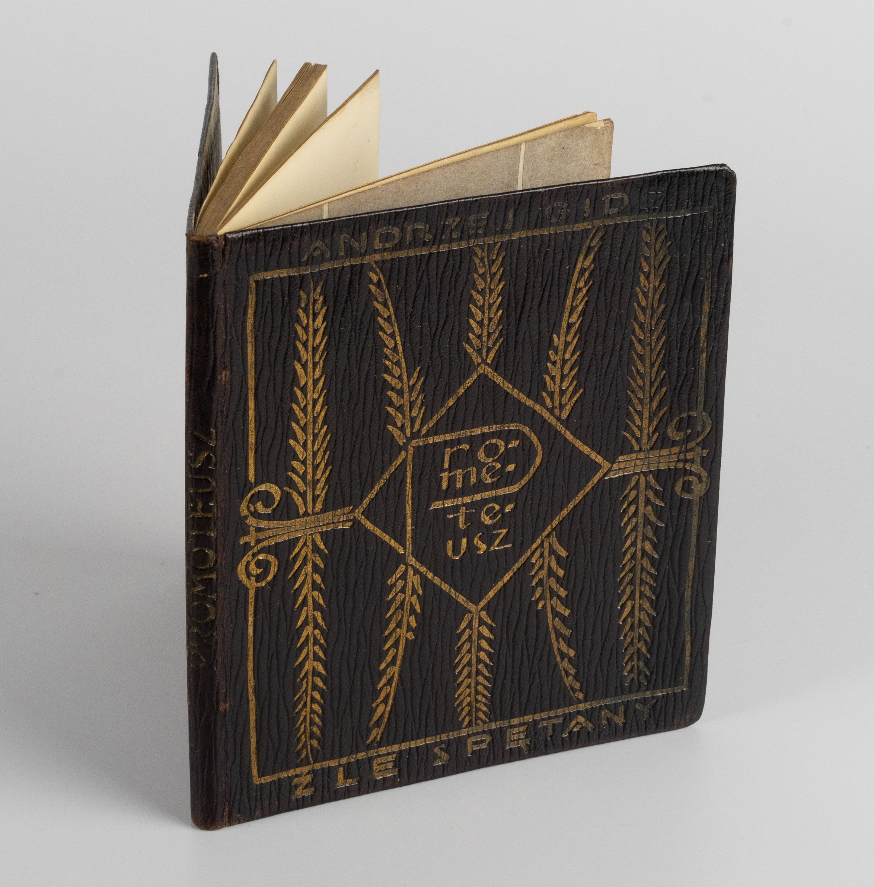 GIDE Andrew (André) - Prometheus Wrongly Bound [1904] [bound by ...