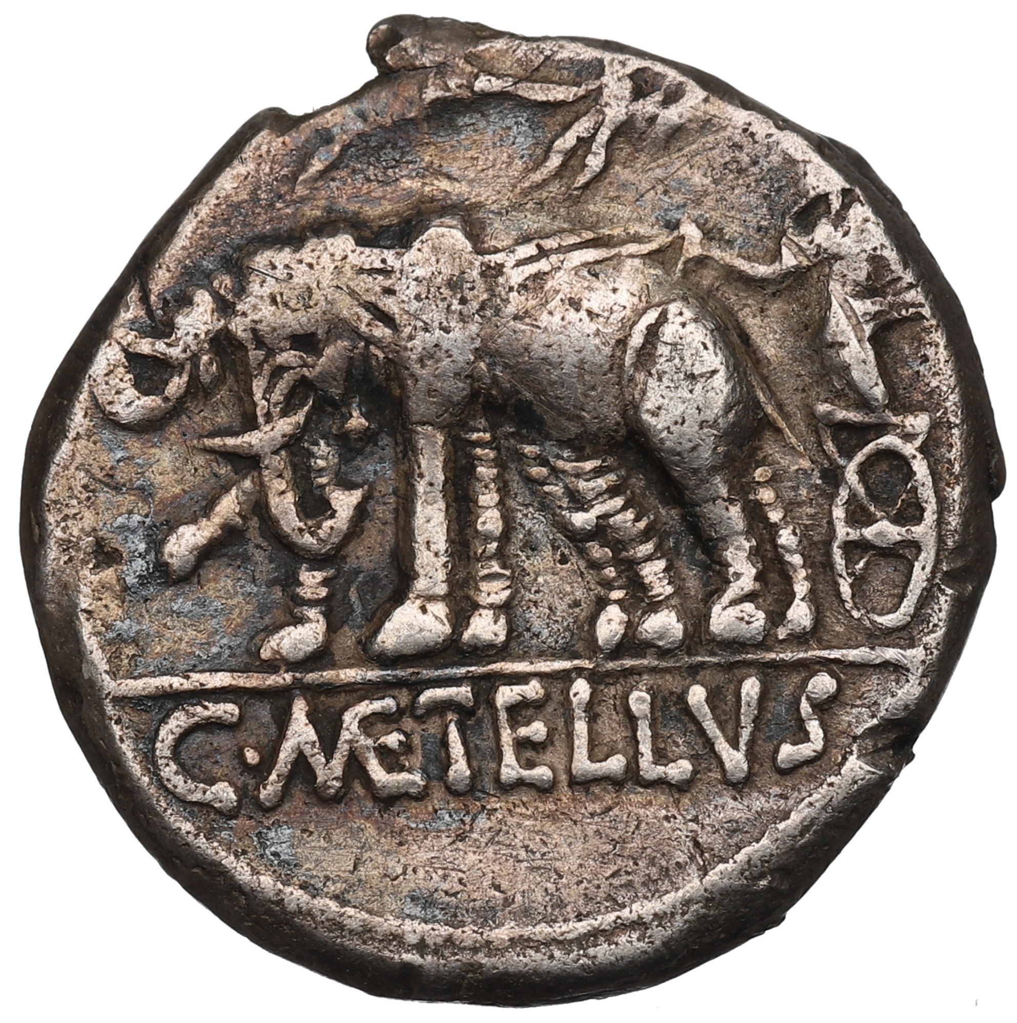 Republika Rzymska, Caecilius Metelus (125 r p.n.e), Denar - Aukcja ...