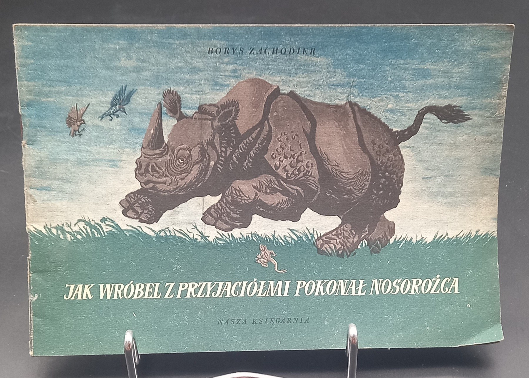 Jak wróbel z przyjaciółmi pokonał nosorożca Baśń hinduska Borys ...