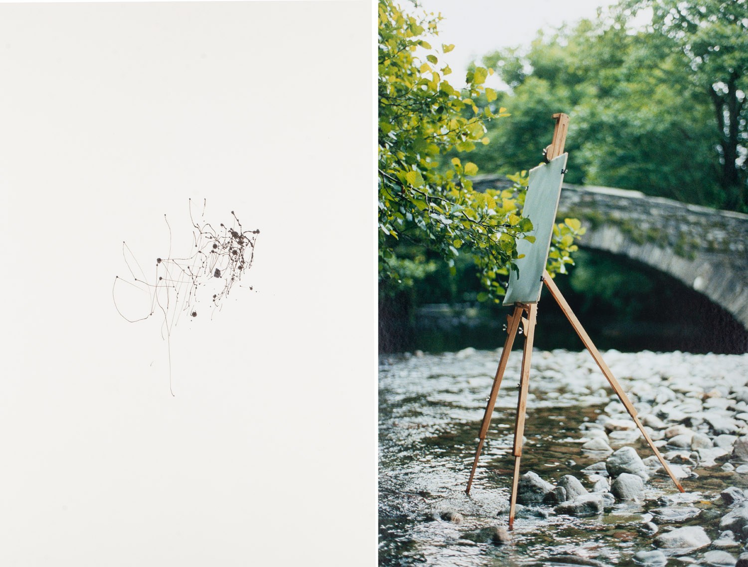 Tim Knowles (ur. 1969, Cheltenham), "Tree Drawing - Alder on easel #2 ...