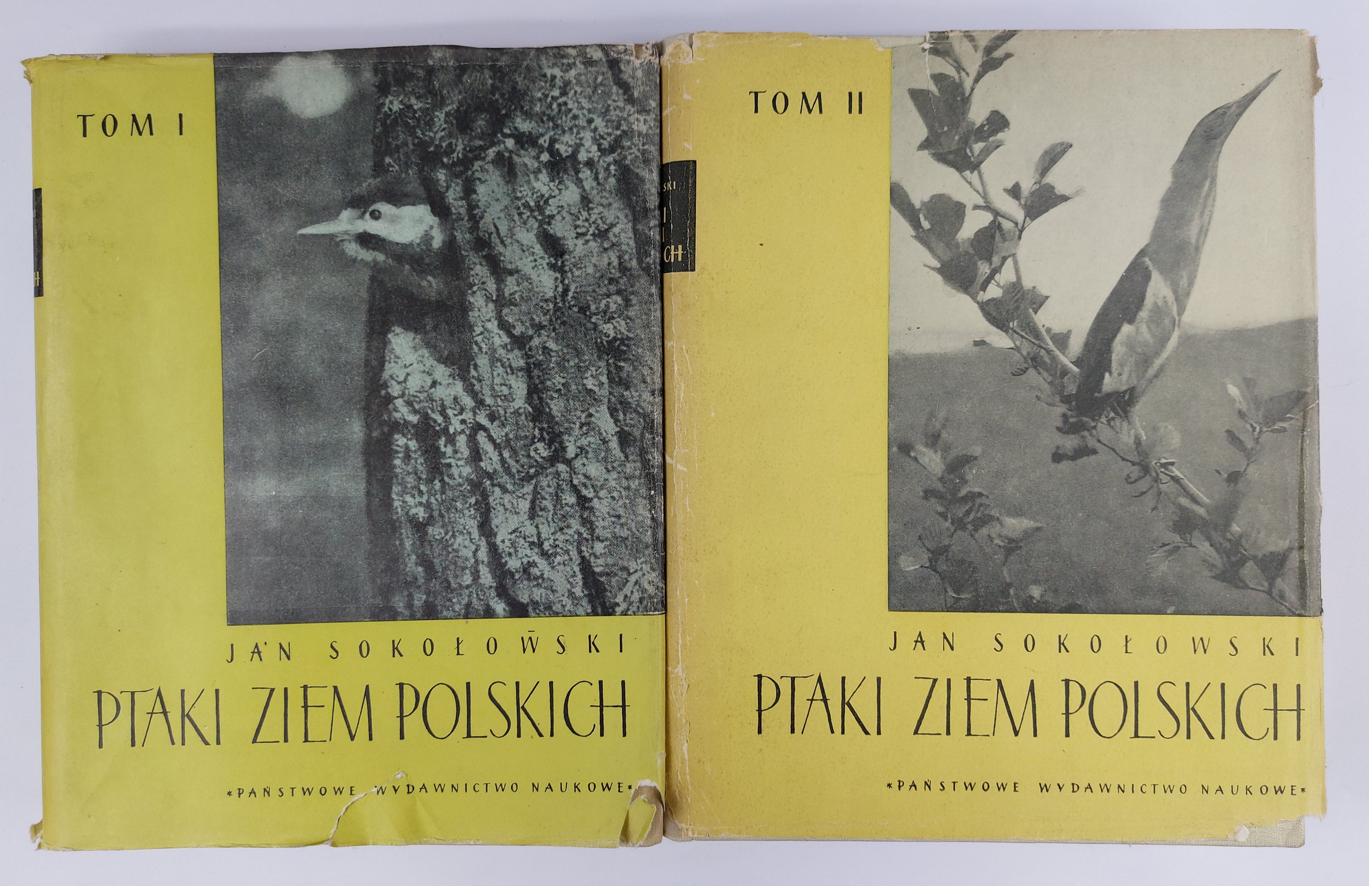 Jan Sokołowski, Ptaki Ziem Polskich Tom I Tom II - Aukcja internetowa ...