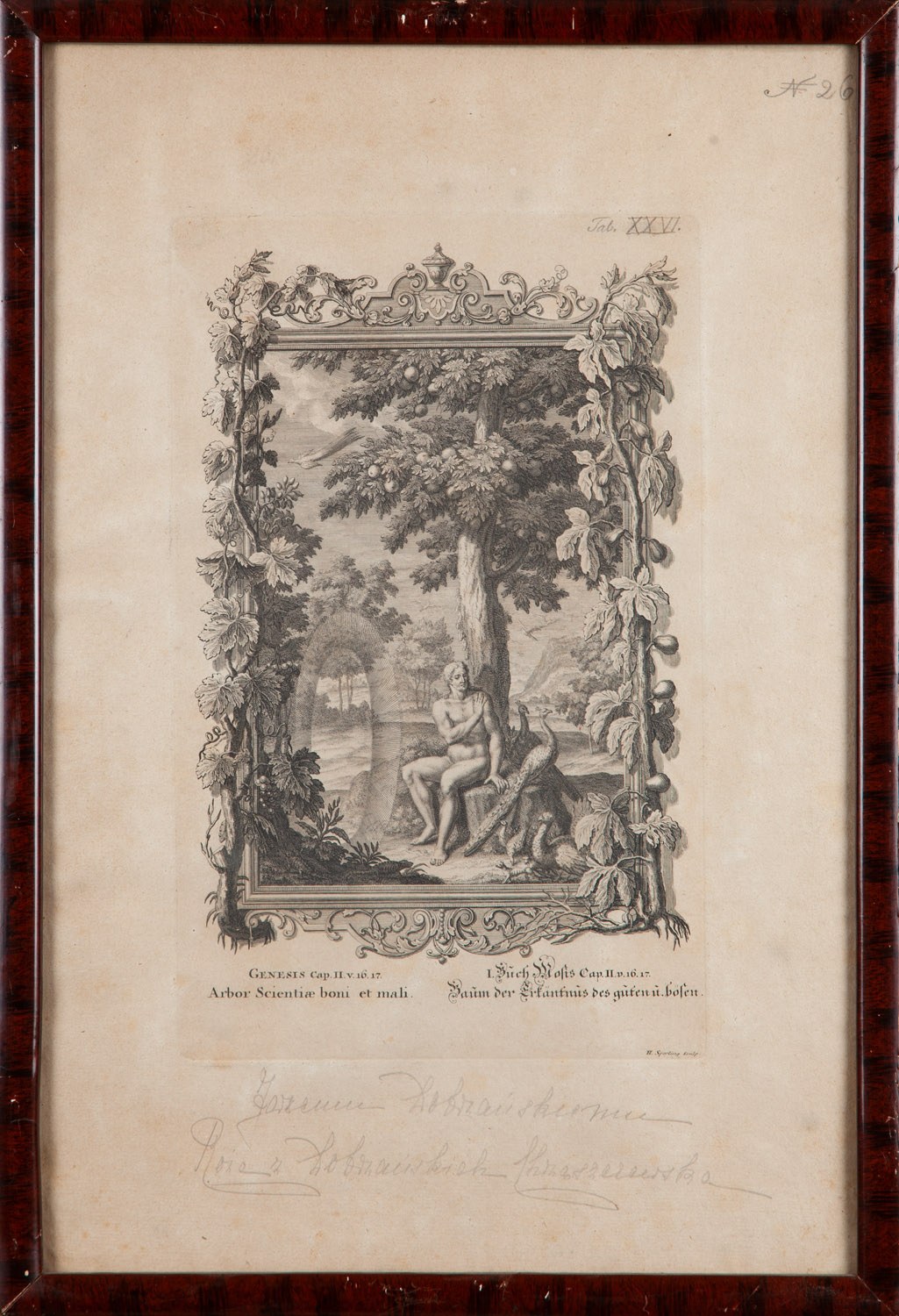 Hieronymus SPERLING (1695 - 1777), Arbor Scientiae boni et mali (scena ...