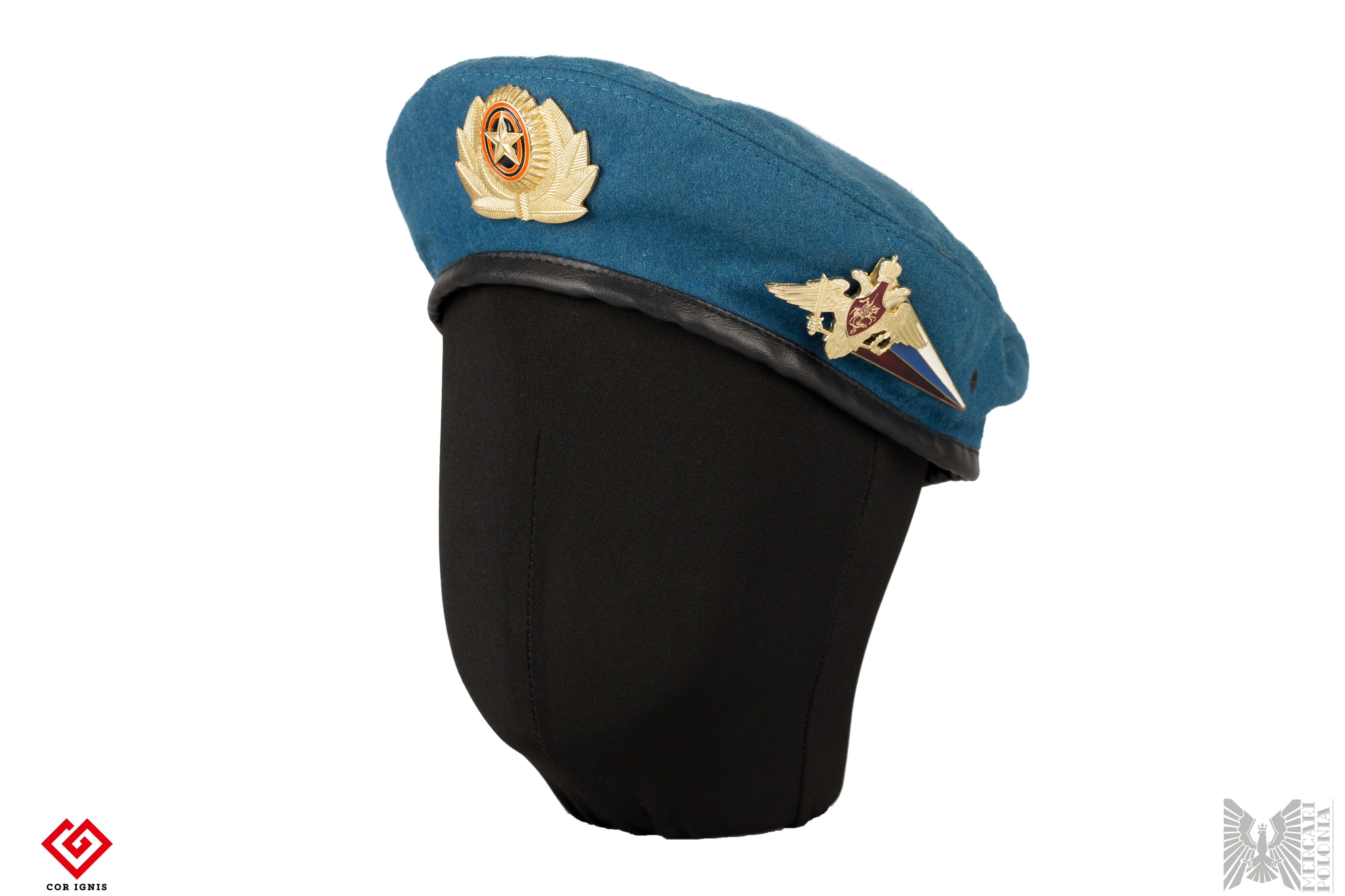 Officer's beret of the Airborne Forces of the Armed Forces of the ...