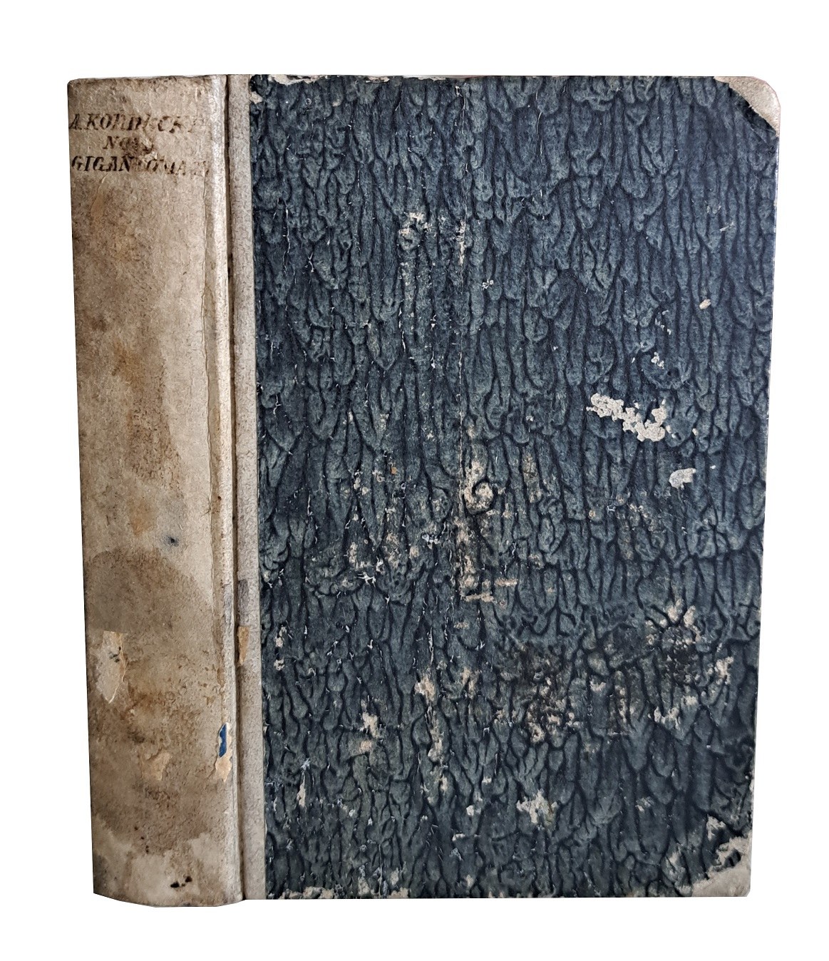 Kordecki Augustyn. Nova Gigantomachia, contra Sacram Imaginem Deiparae ...