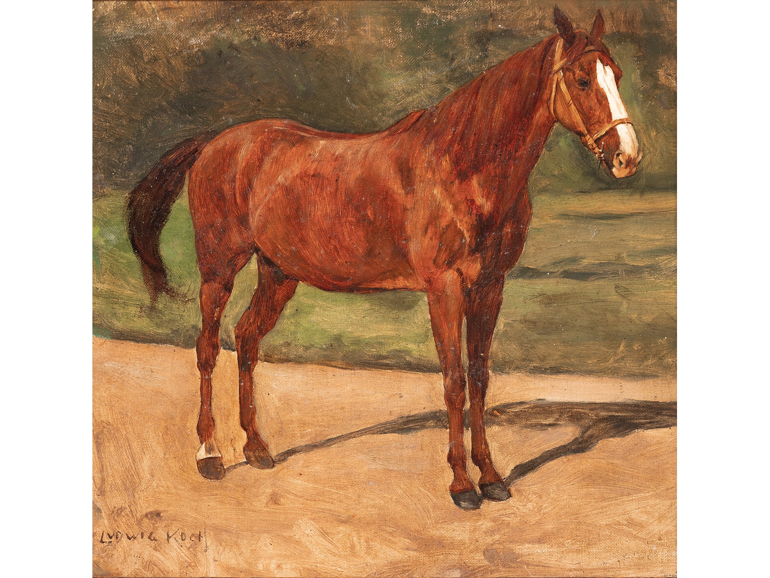 Ludwig Koch, Vienna 1866 - 1934 Vienna, Horse portrait - Aukcja ...