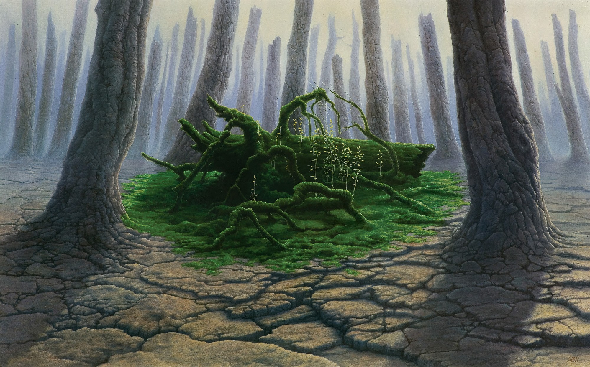 Tomasz Alen Kopera, STONE FOREST IN SPRING, 2011 - Aukcja internetowa ...
