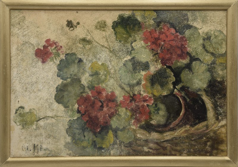 Klementyna MIEN (1870-1954), Pelargonie - Aukcja internetowa ...