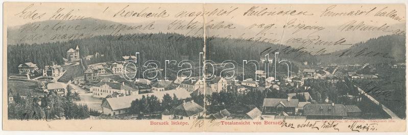 1903 Borszék, Borsec; 2-részes kihajtható panorámalap. Soós kiadása / 2 ...