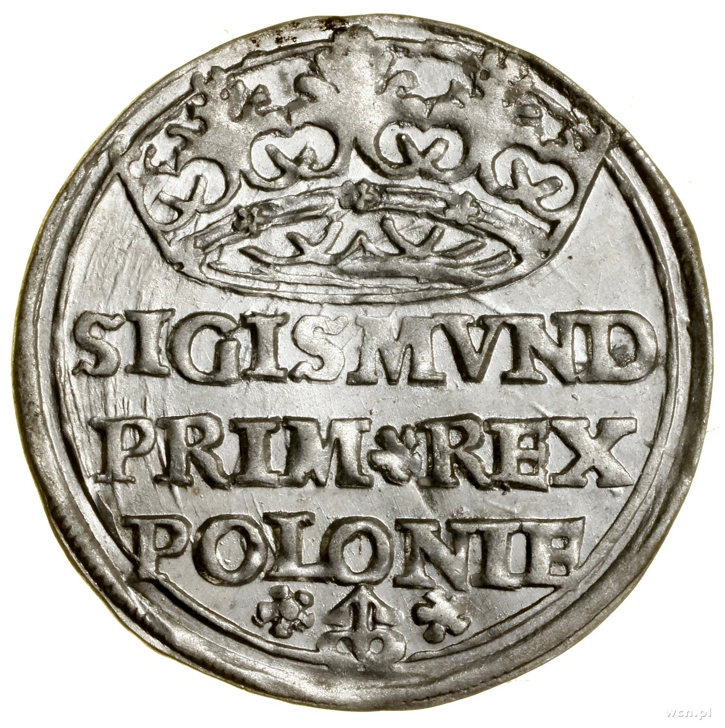 Grosz, 1528, Kraków; herb Odrowąż między rozetami; Biał... - Aukcja ...