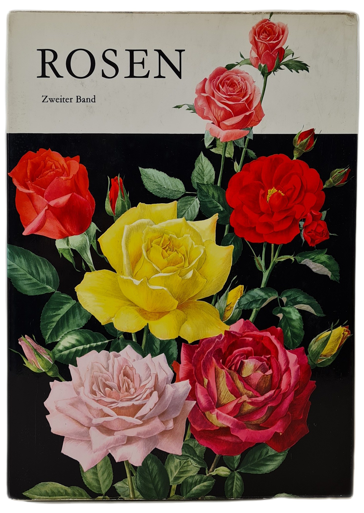 LERROY Adnre, TRECHSLIN Anne Marie - Roses The most beautiful roses of ...