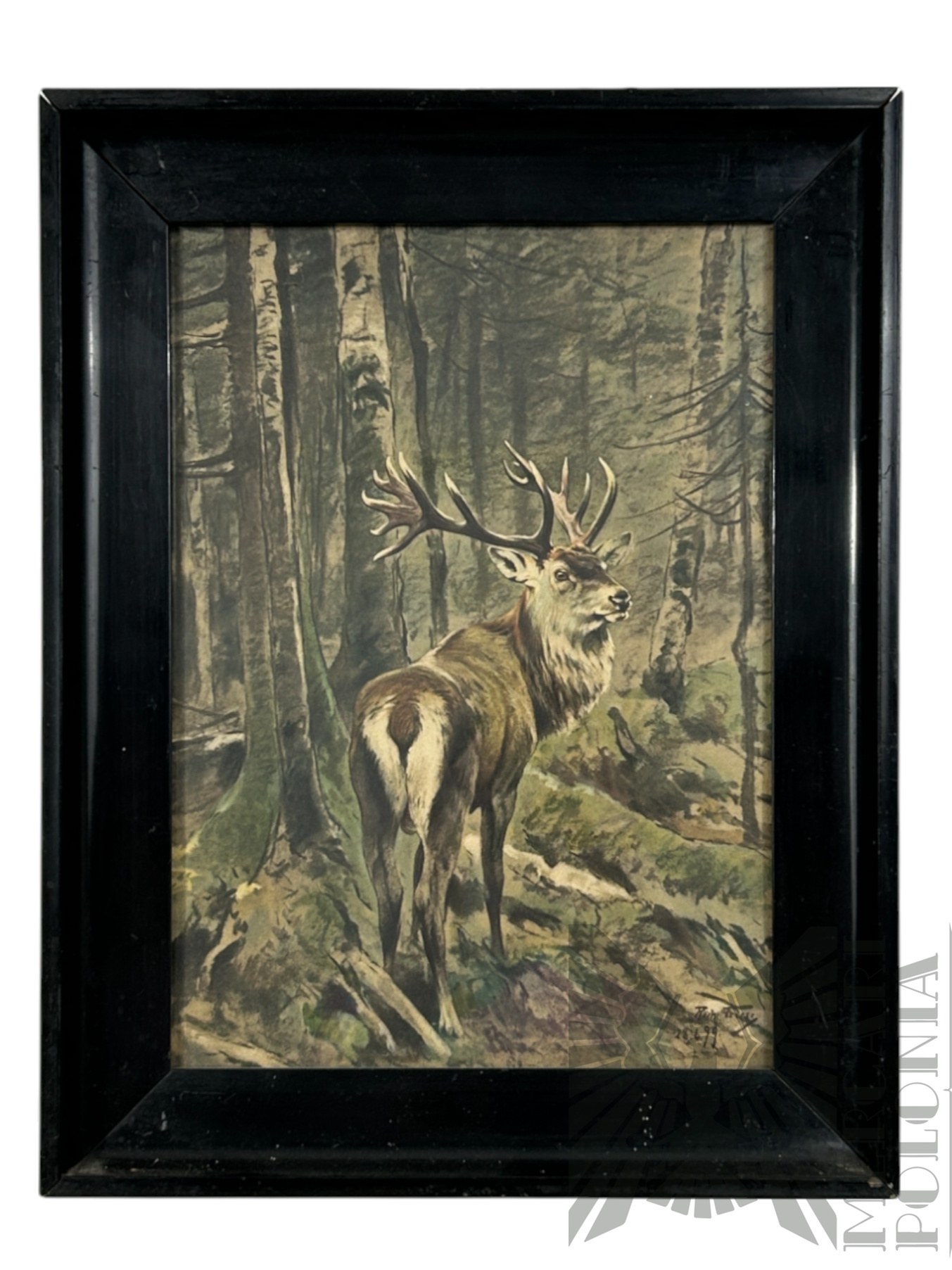 Richard Friese (1854-1918) - Obraz Jeleń Szlachetny w Lesie (1899 ...