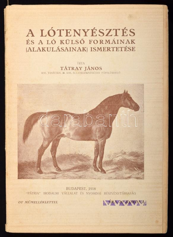 Tátray János: A lótenyésztés és a ló külső formáinak (alakulásainak ...