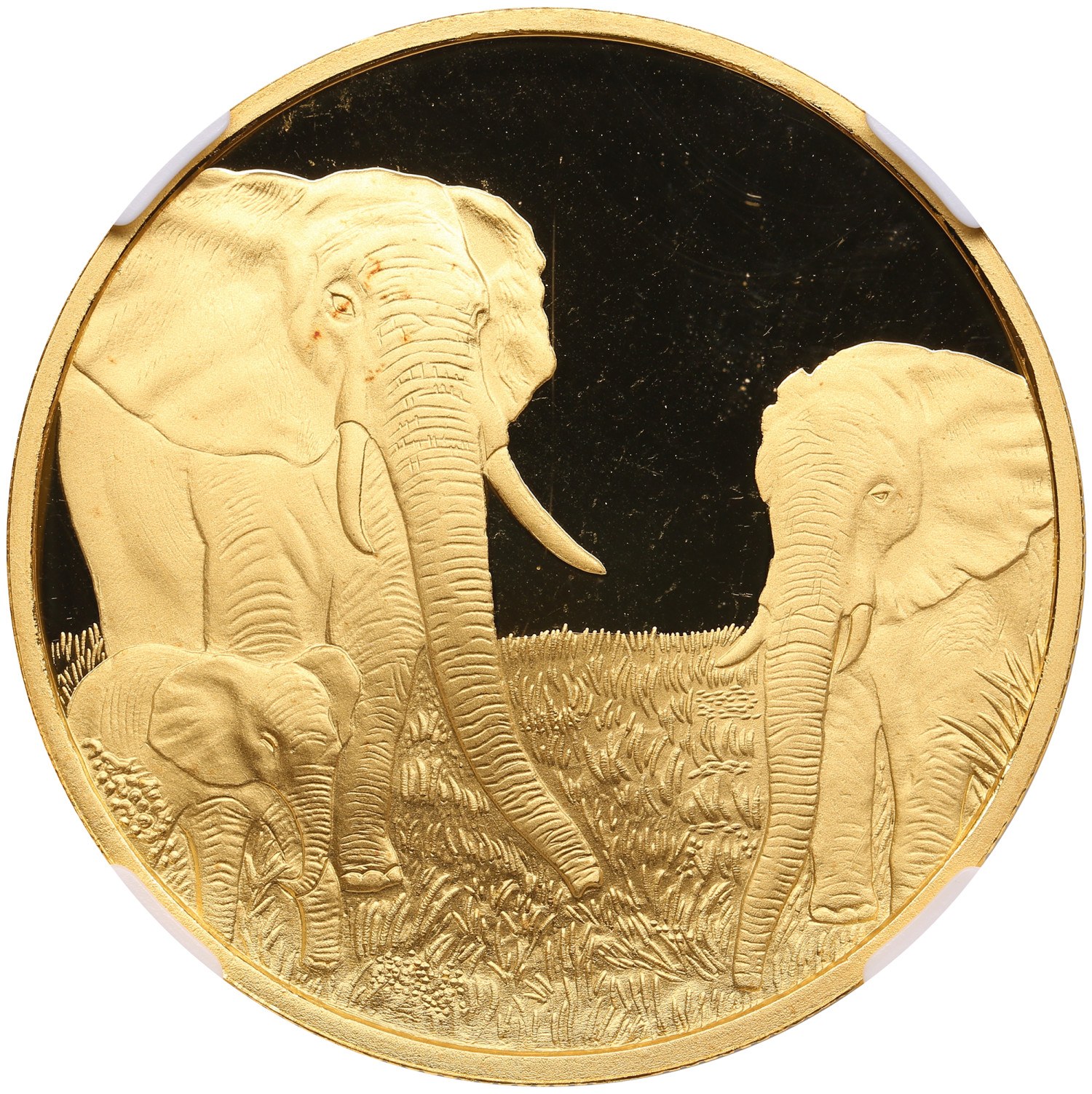 Korea Północna 60000 Won 2007 - ELEPHANTS - NGC PF 69 ULTRA CAMEO ...
